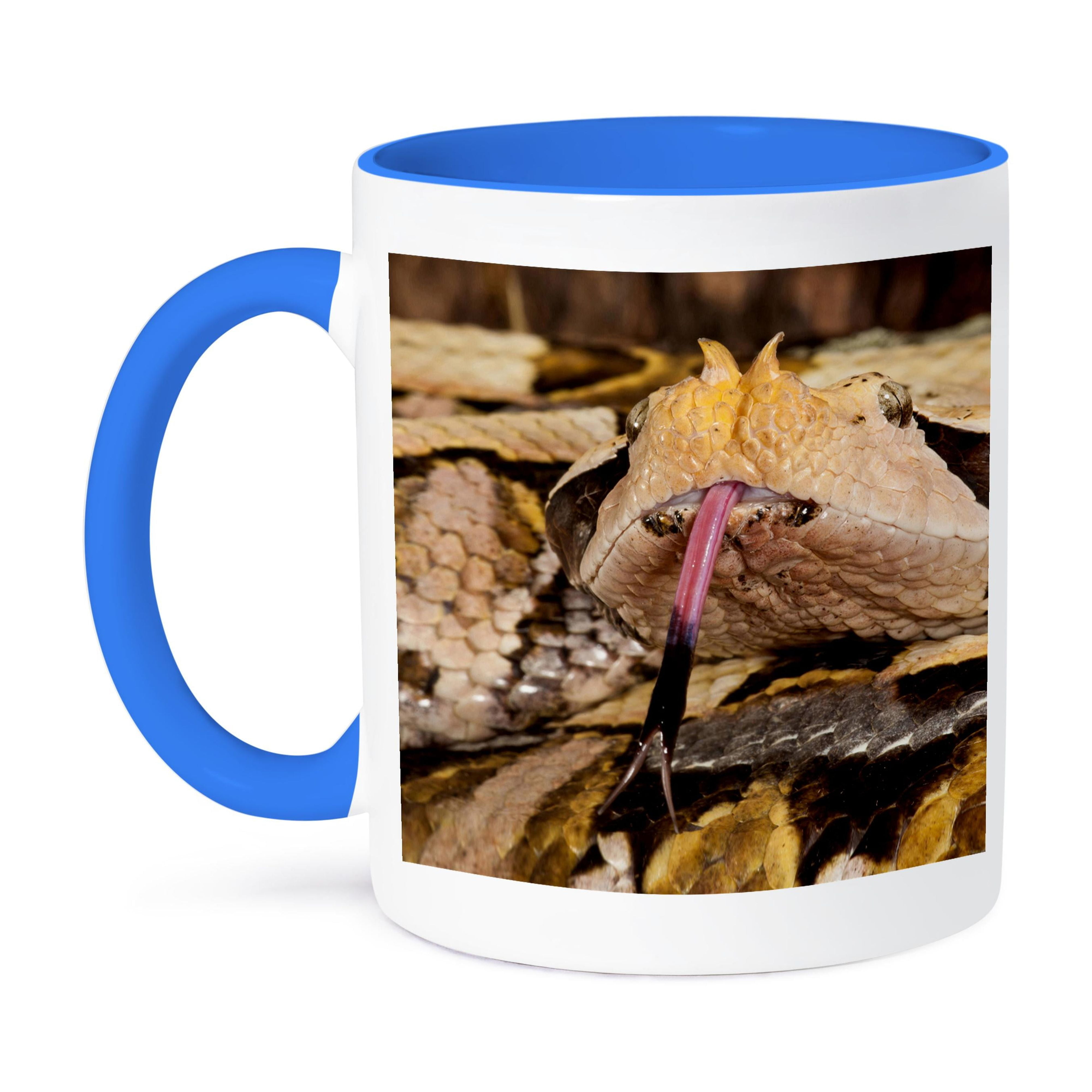 3dRose, Western Gaboon Viper snake, Native to Africa - NA02 DNO0899 ...