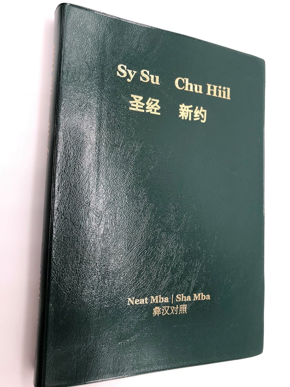 Western Guizhou Yi-Neasu – Chinese New Testament / Sy Su Chu Hiil ...