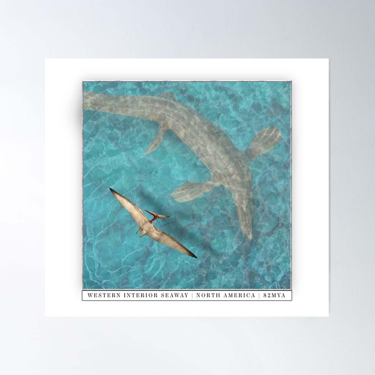 Western Interior Seaway Fossil Museum Style Graphic Pteranodon And ...