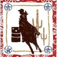 Western Party Rodeo Cowgirl Lunch Napkins - Walmart.com