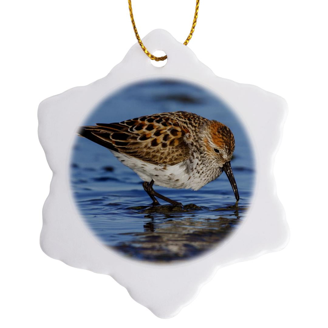 3drose, Western Sandpiper Foraging in Mudflats., 3 inch Snowflake ...