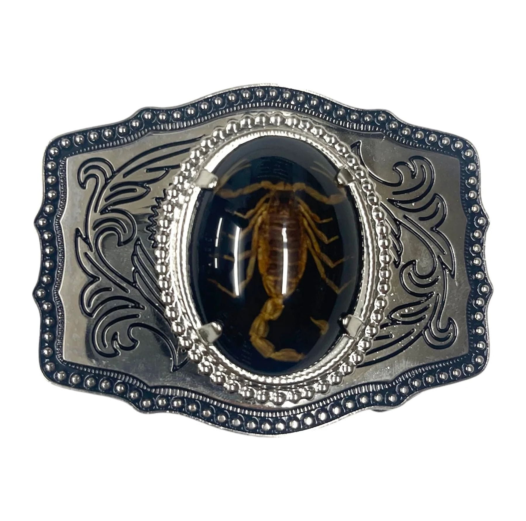 Western Style Real Scorpion Cowboy Cowgirl Rodeo Scorpio Metal Unisex ...