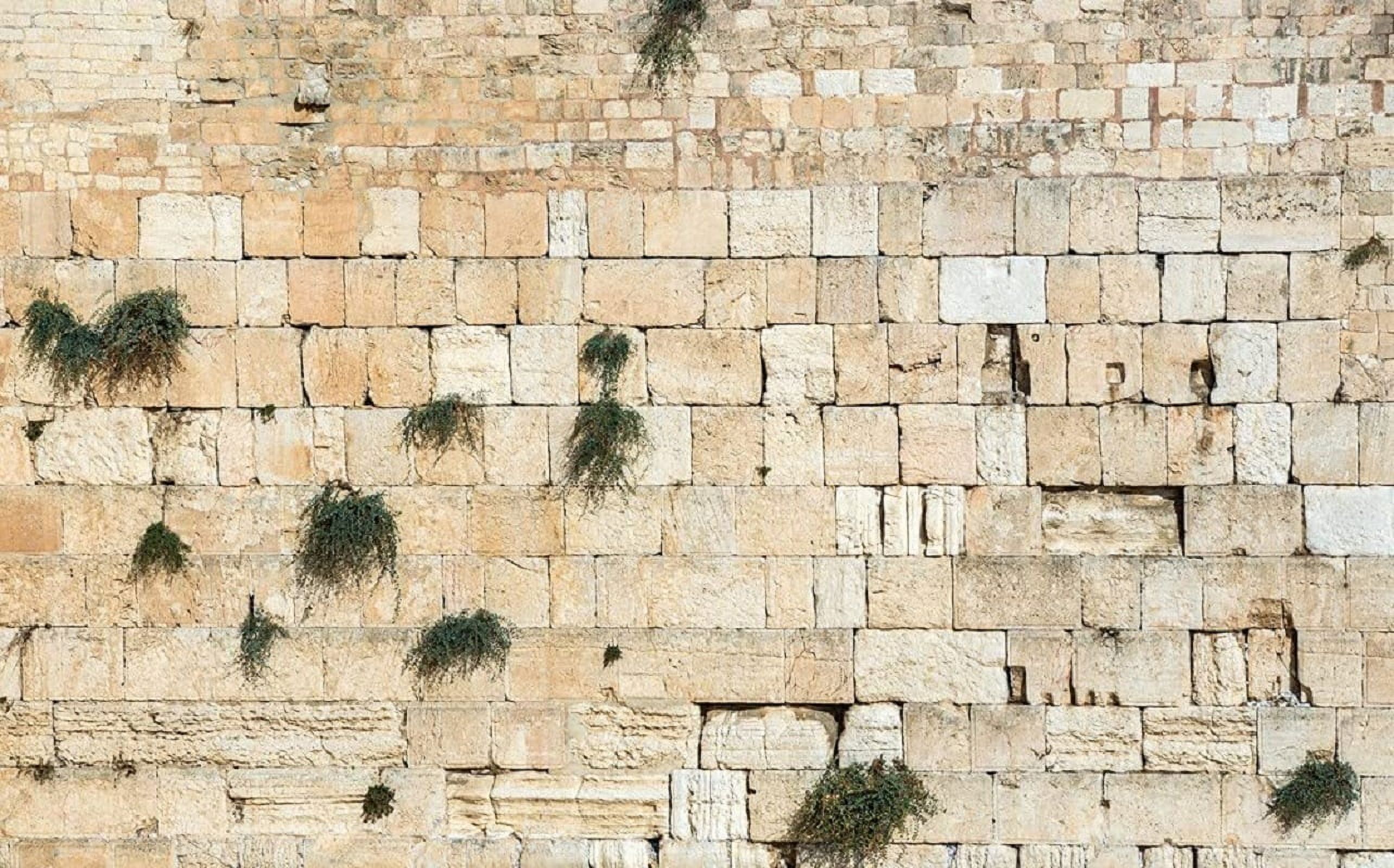 Western Wall Photography Backdrop Photo Ancient Jerusalem Banner Brick ...