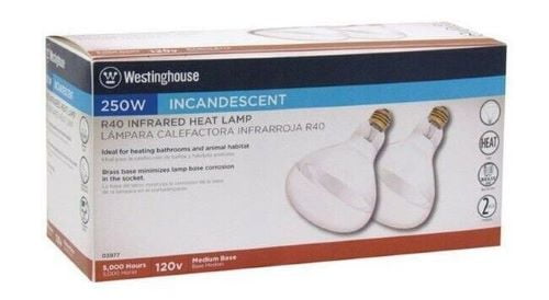 Westinghouse 0397748 2-Count Pack of 250W R40 Clear Infrared Heat Lamp ...