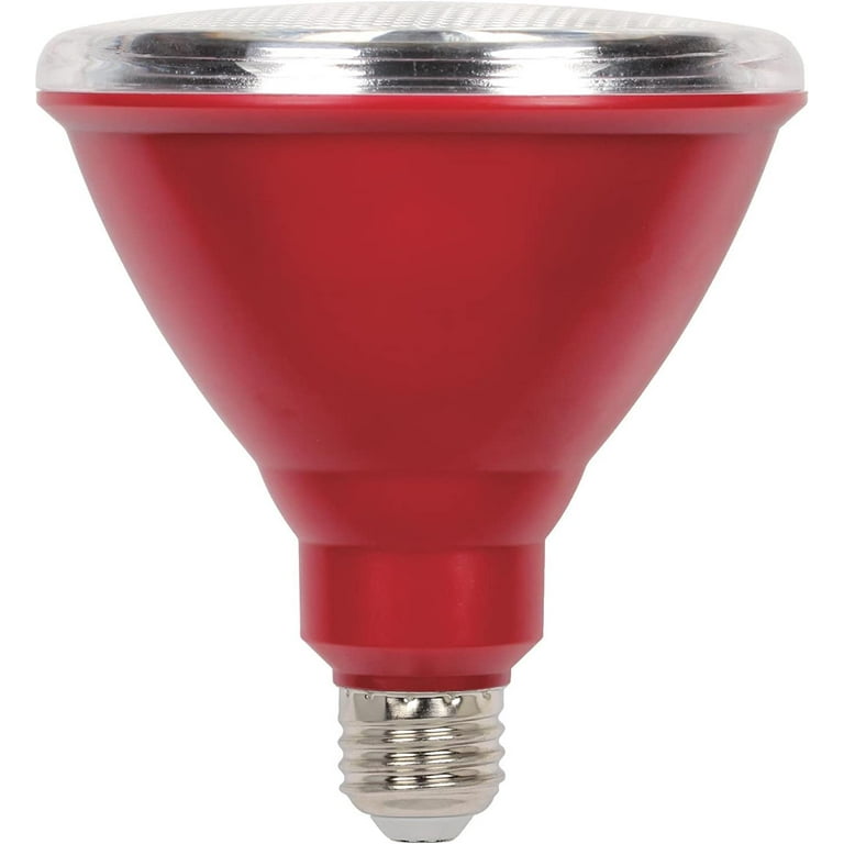 100 Watt Spot Light Bulb