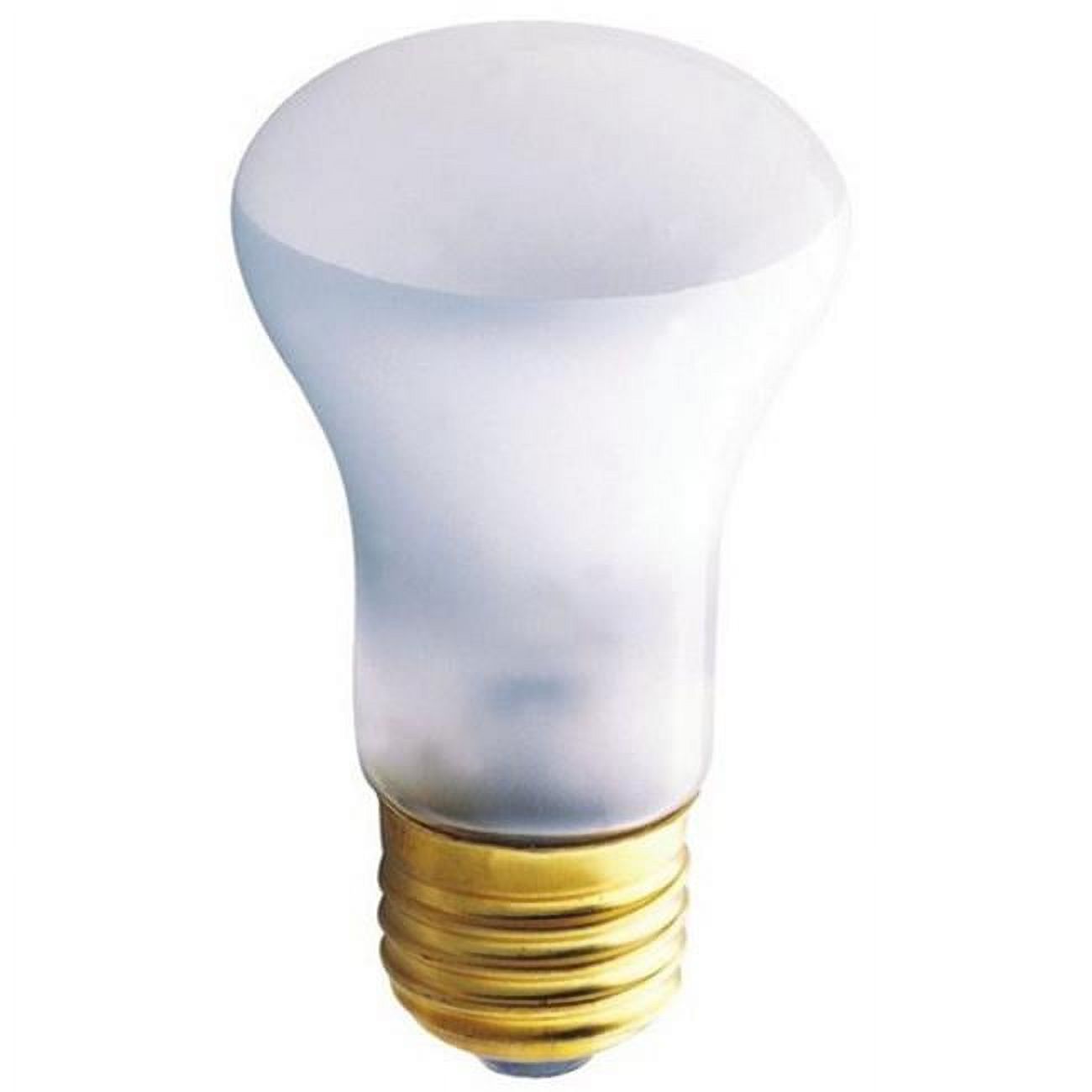 Westinghouse 40 W R16 Floodlight Incandescent Bulb E26 (Medium) White 1 ...