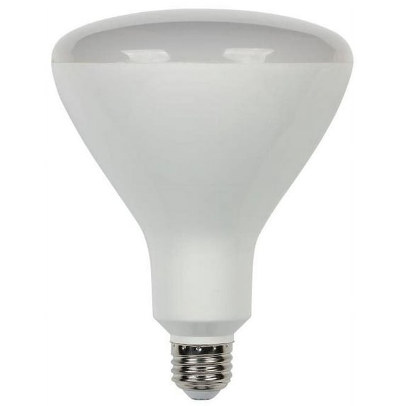 Westinghouse 5014000 85-Watt Equivalent R40 Flood Dimmable Daylight ...