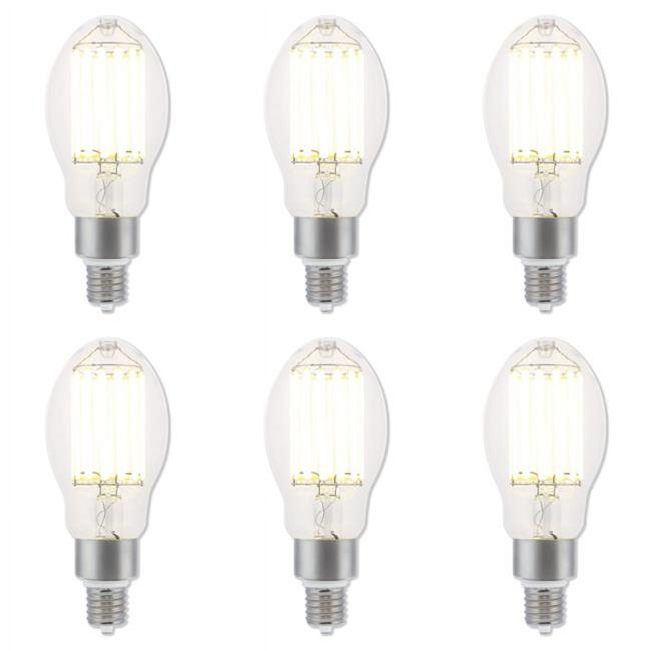 Westinghouse Lighting 5267020 65 Watt (400 Watt HID Equivalent) ED37 ...