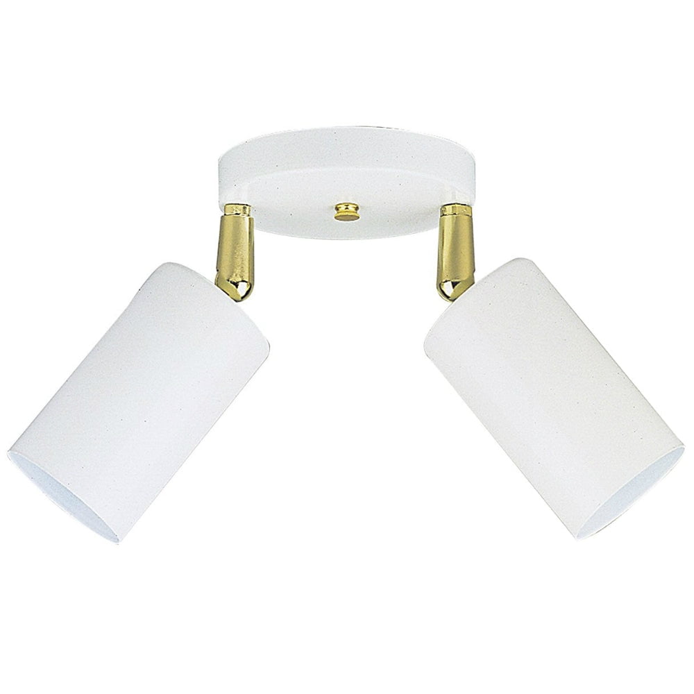 Westinghouse 66682 2-Light Multi-Directional Flush-Mount Ceiling ...