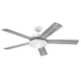 Westinghouse Comet 52 in. White Finish Reversible Blades (Rustic Birch ...