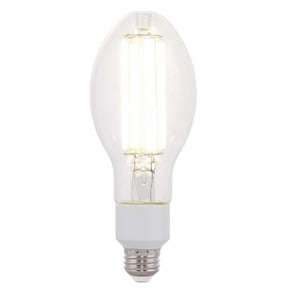 Daylight LED Bulbs 5000K for Home Lighting | Wide Selection Available