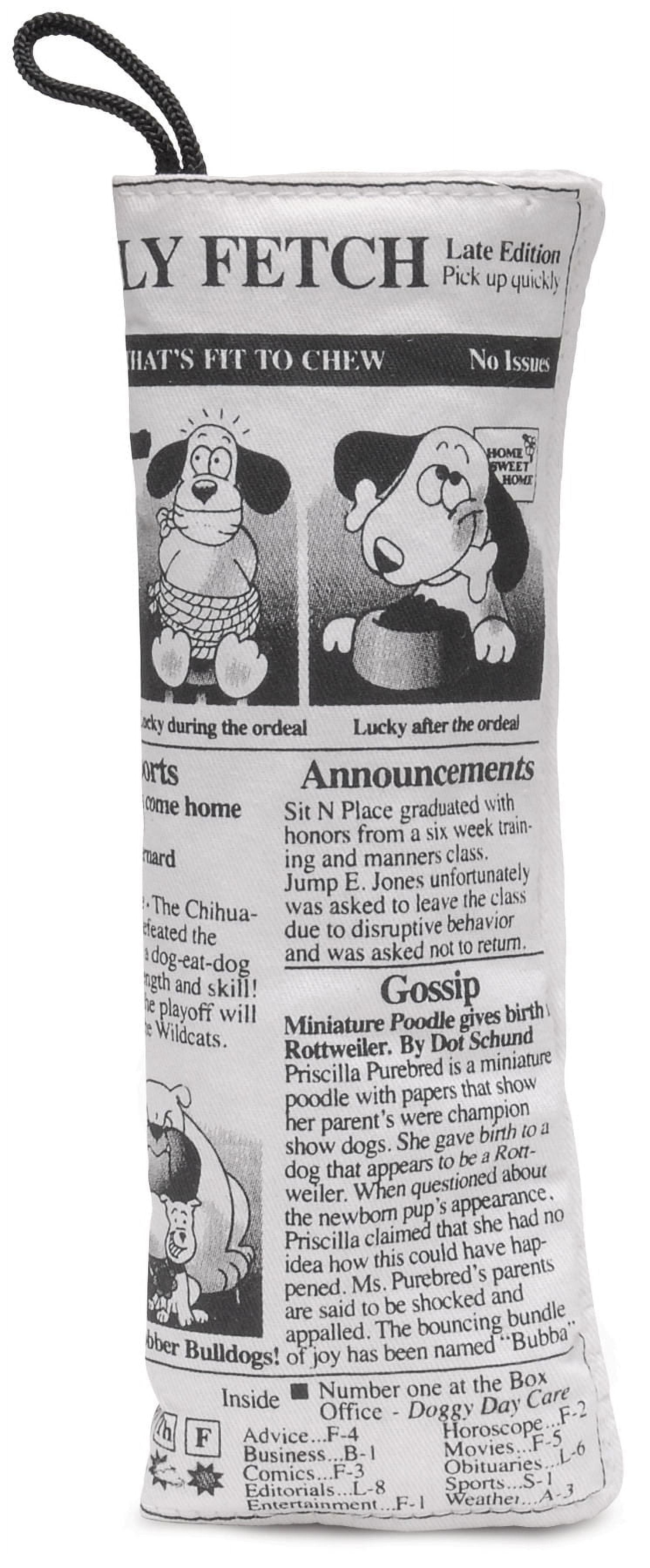 Westminster Pet Products Crinkle Stuffed Daily Fetch Doggy Newspaper ...