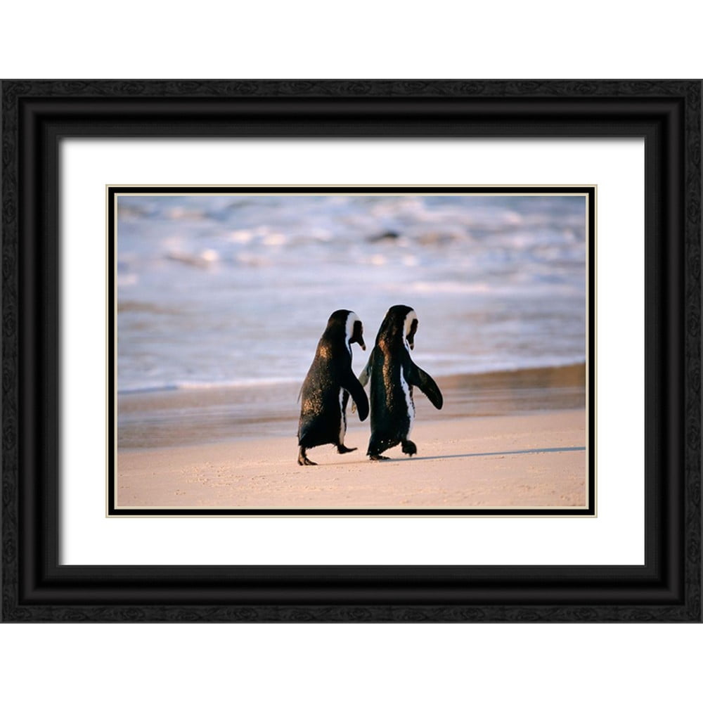 Westmorland, Stuart 14x11 Black Ornate Wood Framed with Double Matting ...