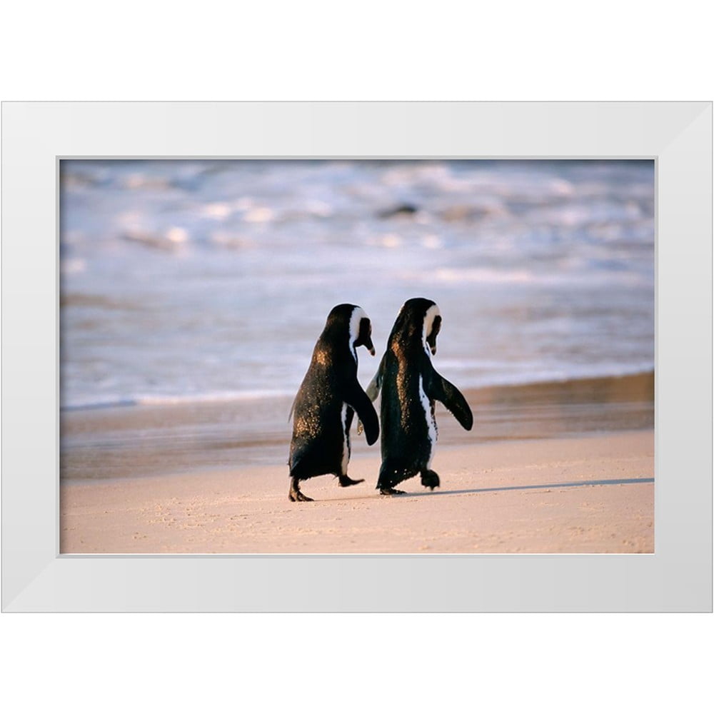 Westmorland, Stuart 18x13 White Modern Wood Framed Museum Art Print ...