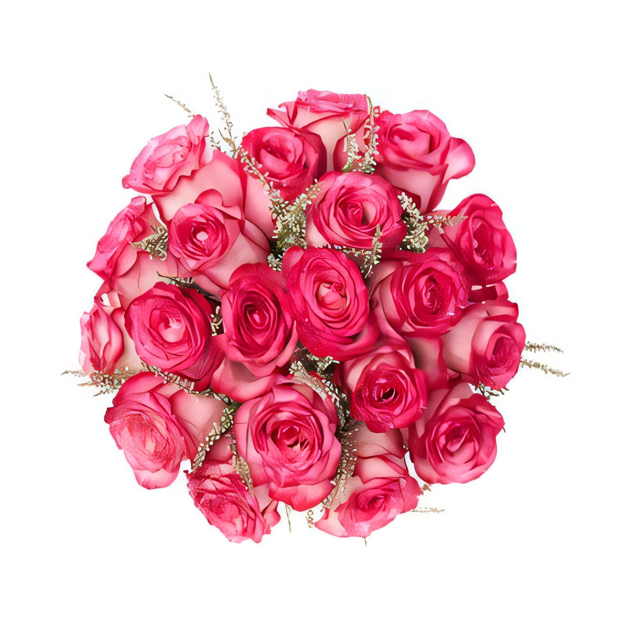 Westpark Flowers - Floral Concepts Pink Passion Rose - Walmart.com