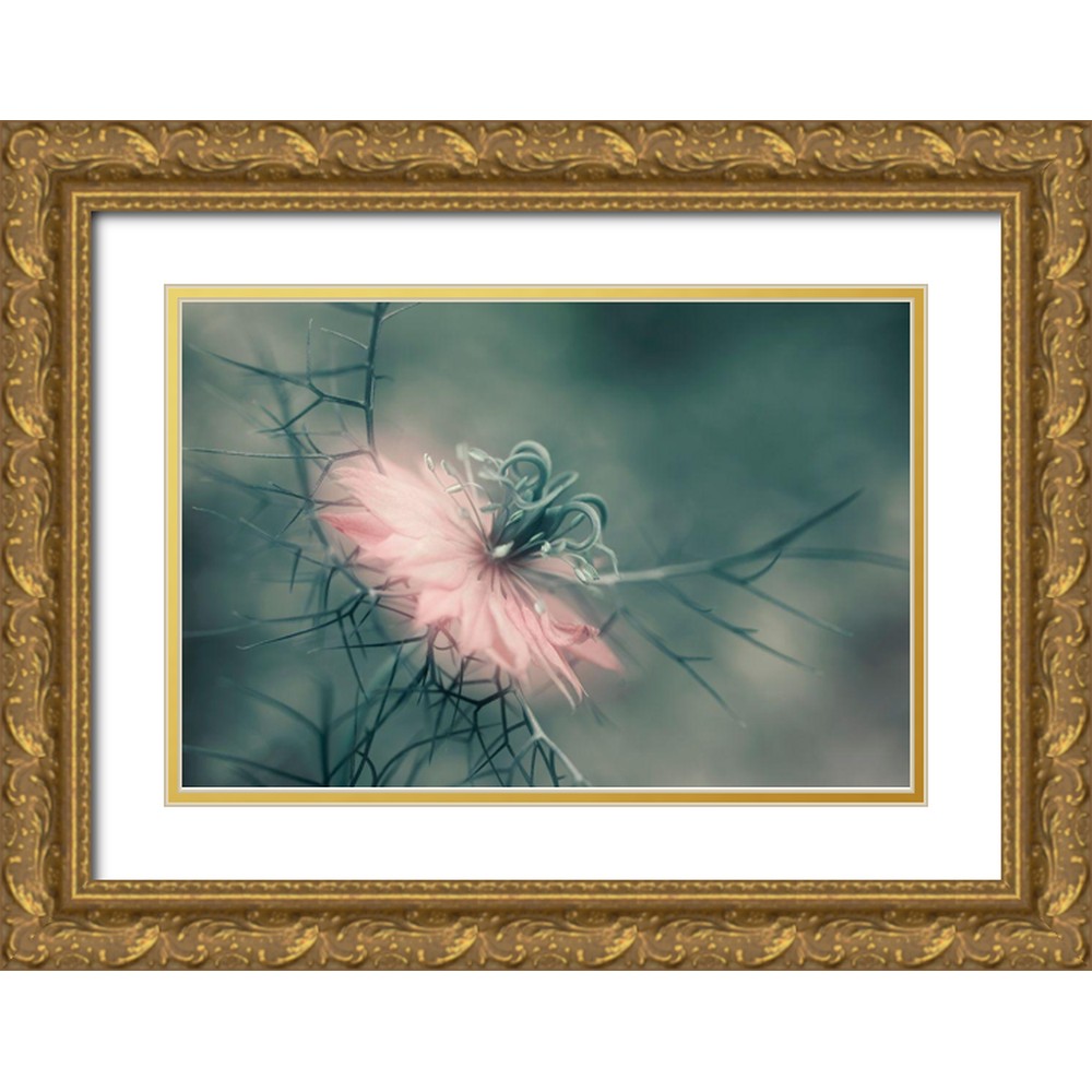Westum, Heidi 32x23 Gold Ornate Wood Framed with Double Matting Museum ...