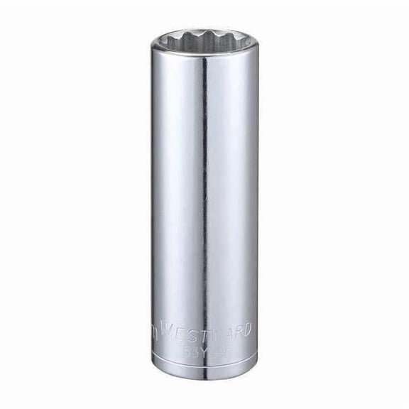 12 Point Torx
