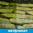 Wet & Forget Moss, Mold, Mildew, & Algae Stain Remover Multi-Surface ...
