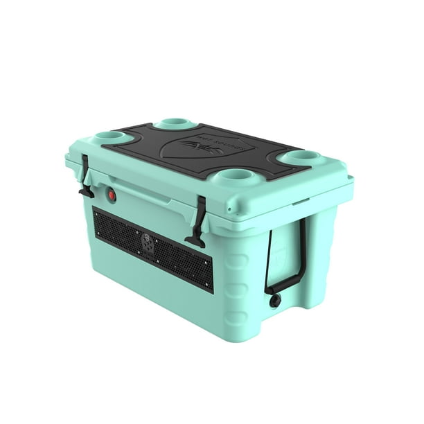 Wet Sounds Stealth SHIVR-55-SFM Seafoam High Output Audio Cooler ...