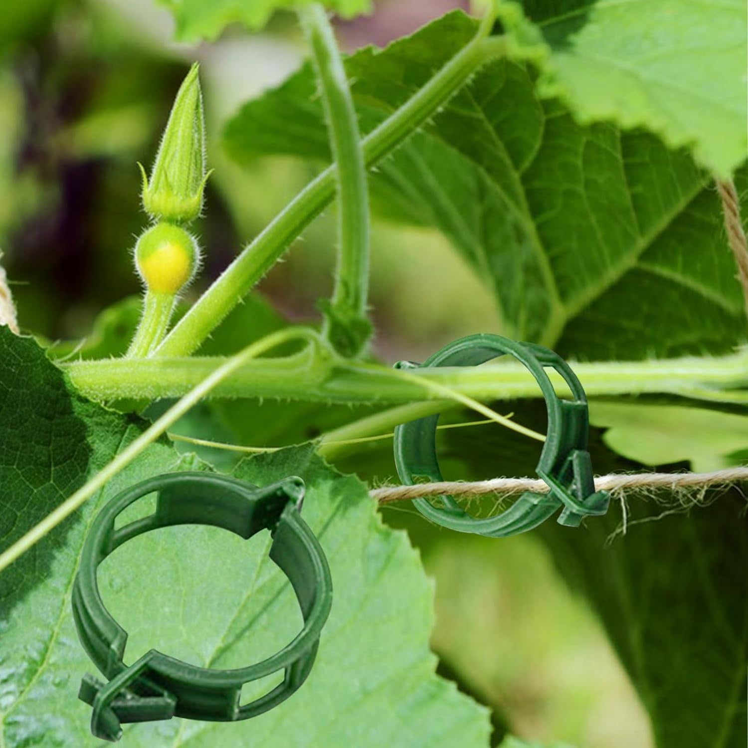 Wewean 100PCS Plant Support Garden Clips Tomato Supports/Connects ...