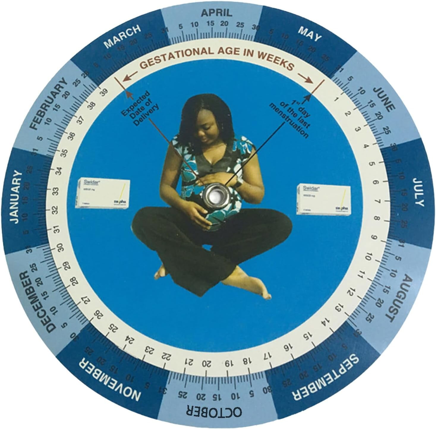 Natal Chart Wheel