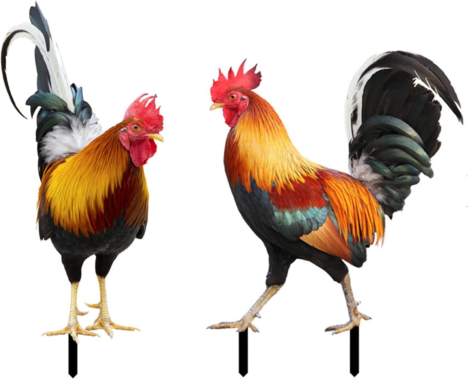 Wewean Rooster Yard Decor Acrylic Outdoor Rooster Decorations Chicken Yard Sign Standing Rooster ...