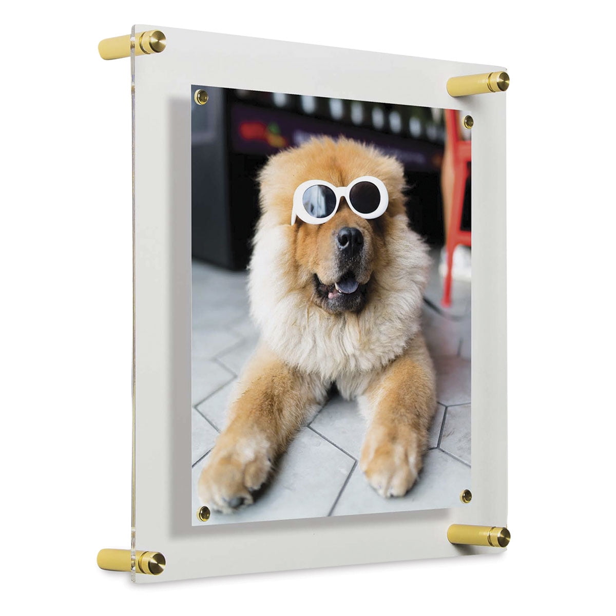Wexel Art Single Panel Acrylic Display Frame - 14" x 14", Gold Hardware ...