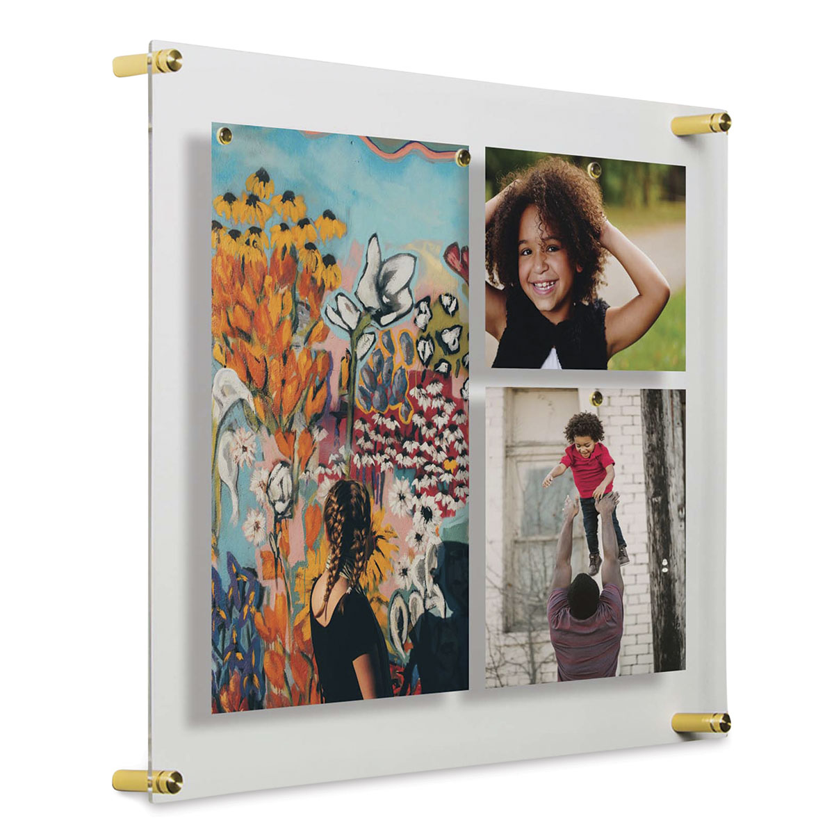 Wexel Art Single Panel Acrylic Display Frame - 19" x 23", Gold Hardware ...