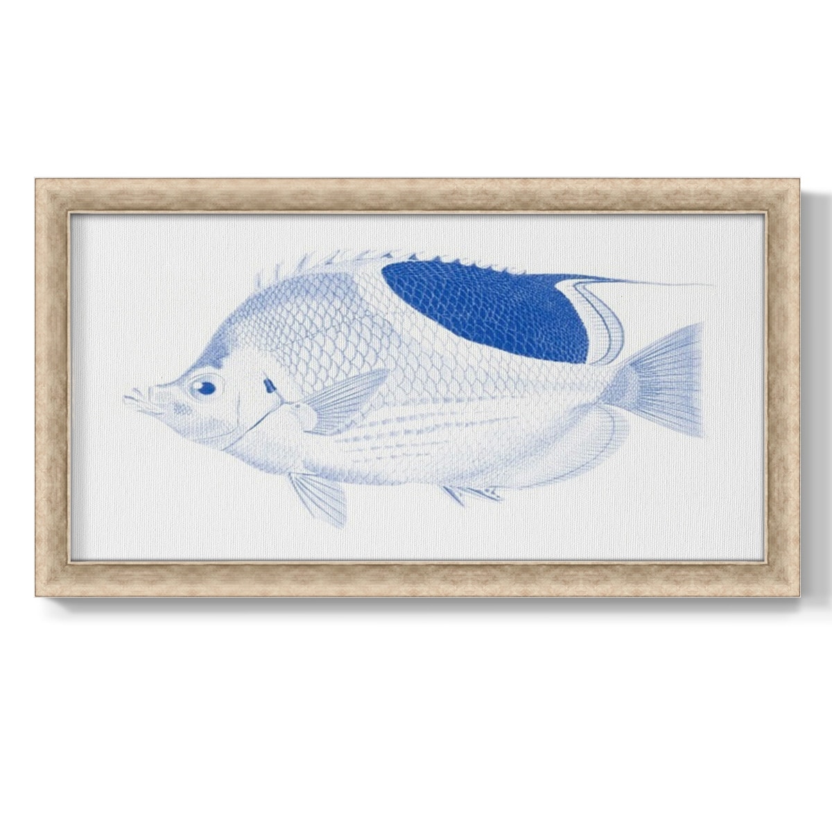 Wexford Home Blue & White Tropical Fish I Premium Framed Canvas- Ready ...