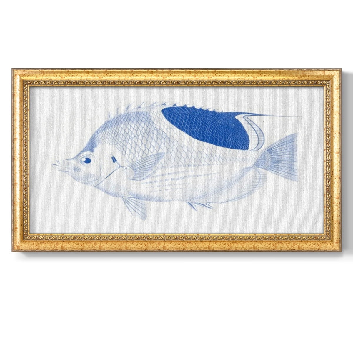 Wexford Home Blue & White Tropical Fish I Premium Framed Canvas- Ready ...