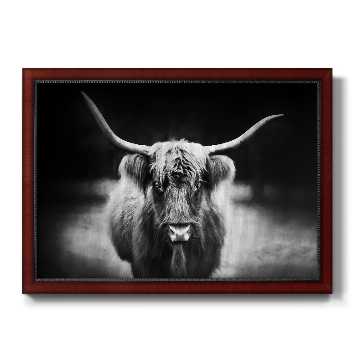 Wexford Home Photography Study Highland Cattle Premium Framed Canvas ...