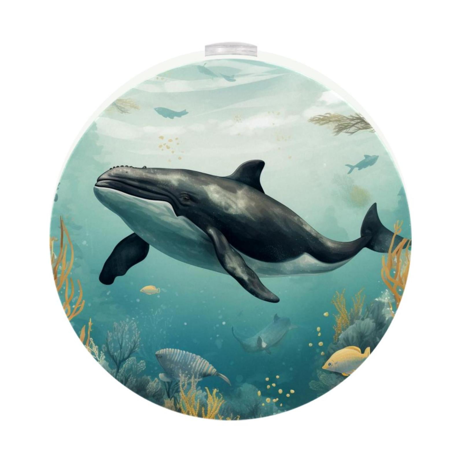 Whale Bright and Compact LED Round Night Light - Set of 2, Energy ...