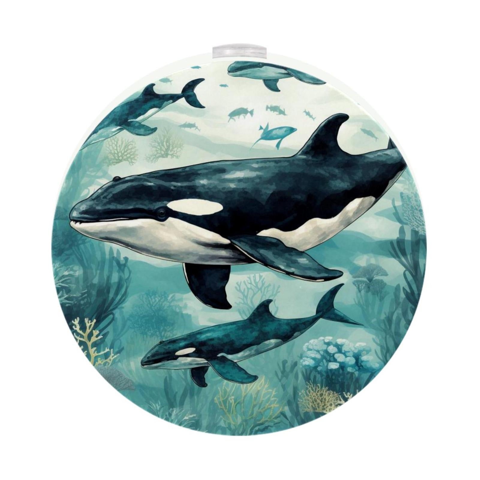 Whale Bright and Compact LED Round Night Light - Set of 2, Energy ...