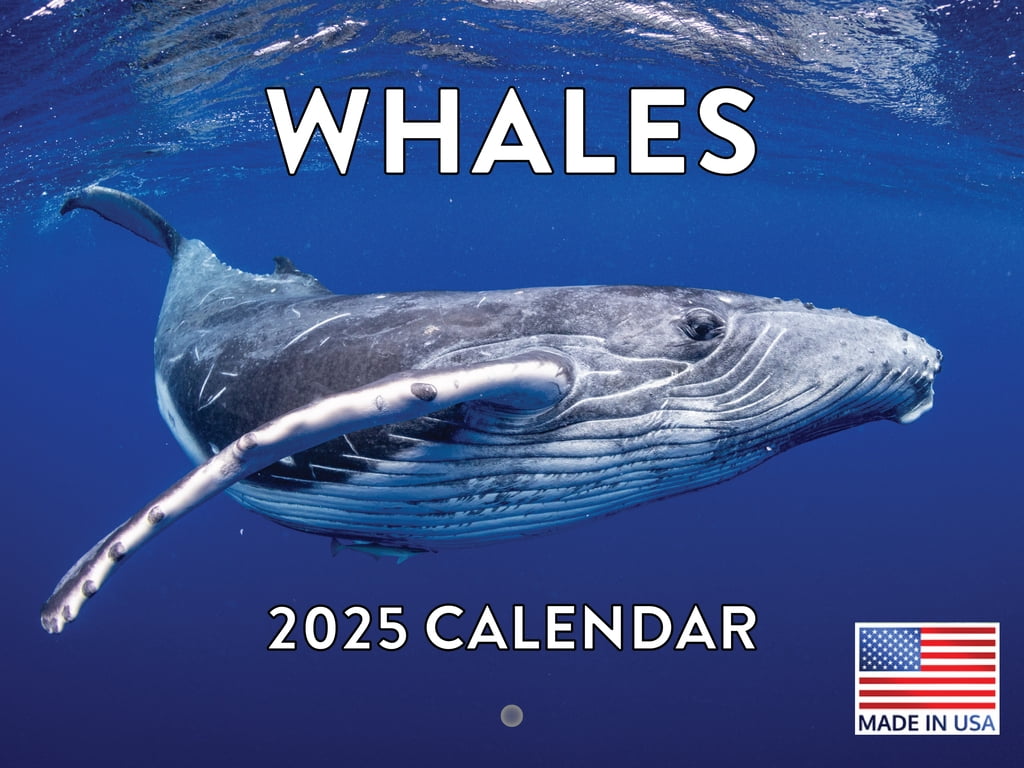 Whale Calendar 2025 Monthly Wall Calender 12 Month | American Made In ...