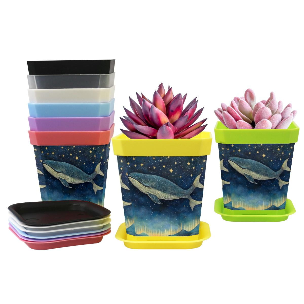 Whale Caribbean Planter 8PCS - Lightweight Indoor Outdoor 8 Different ...