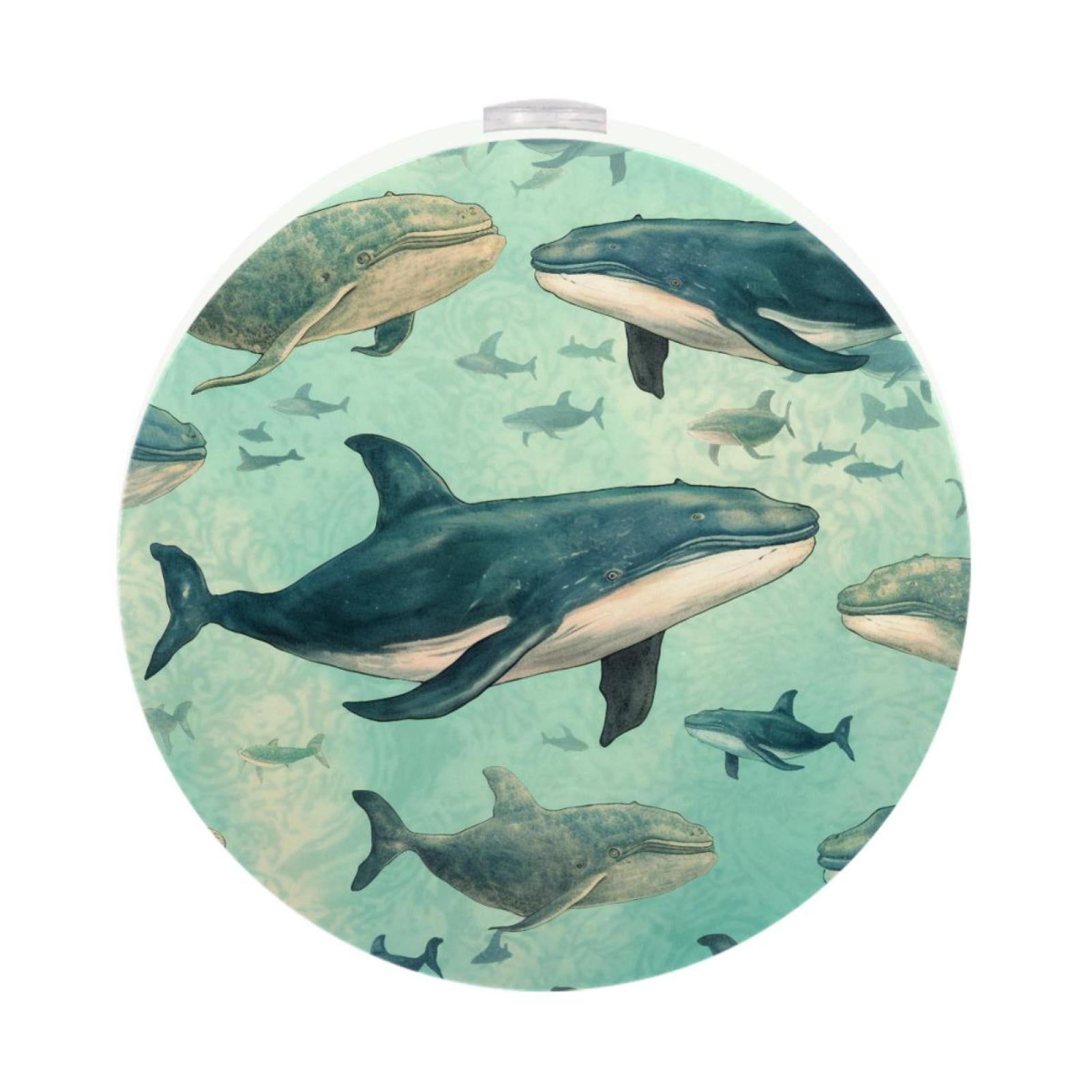 Whale Circular Night Light - 2 Pack LED Induction Control Wall Night ...
