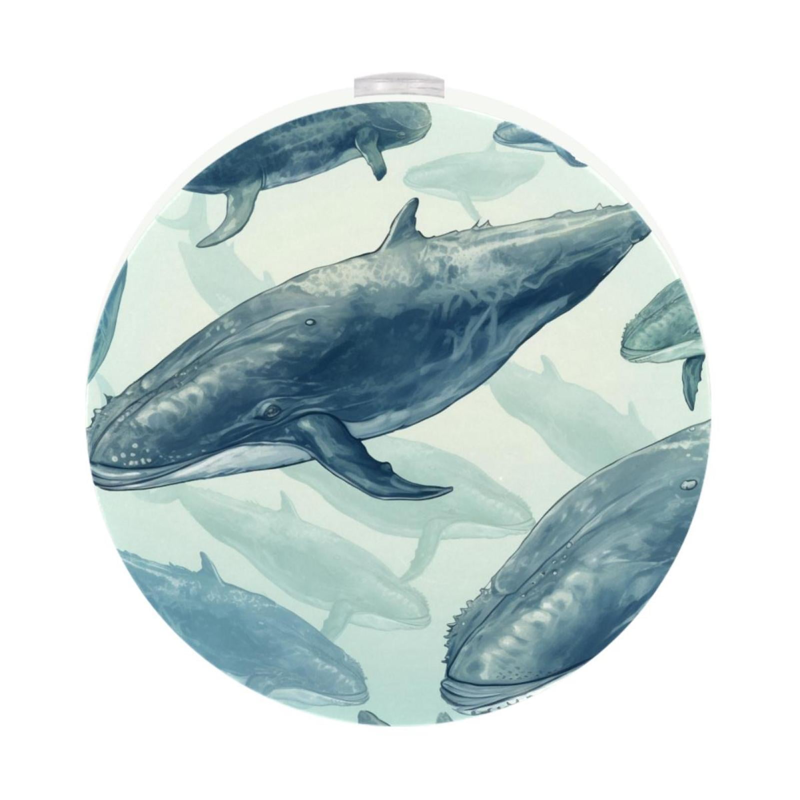 Whale Circular Night Light - 2 Pack LED Induction Control - Walmart.com