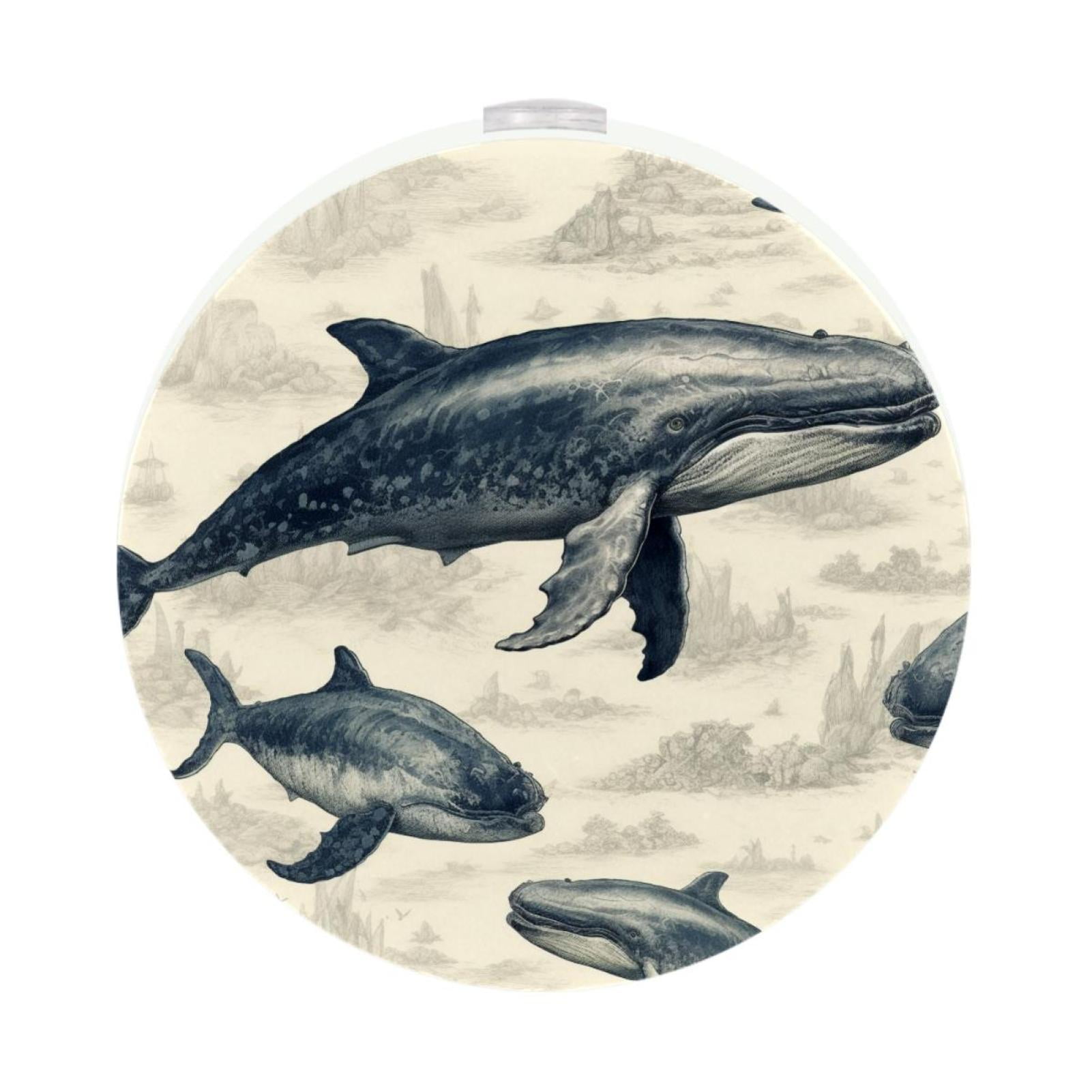 Whale Circular Night Lights - Set of 2, LED Induction Wall Light for ...
