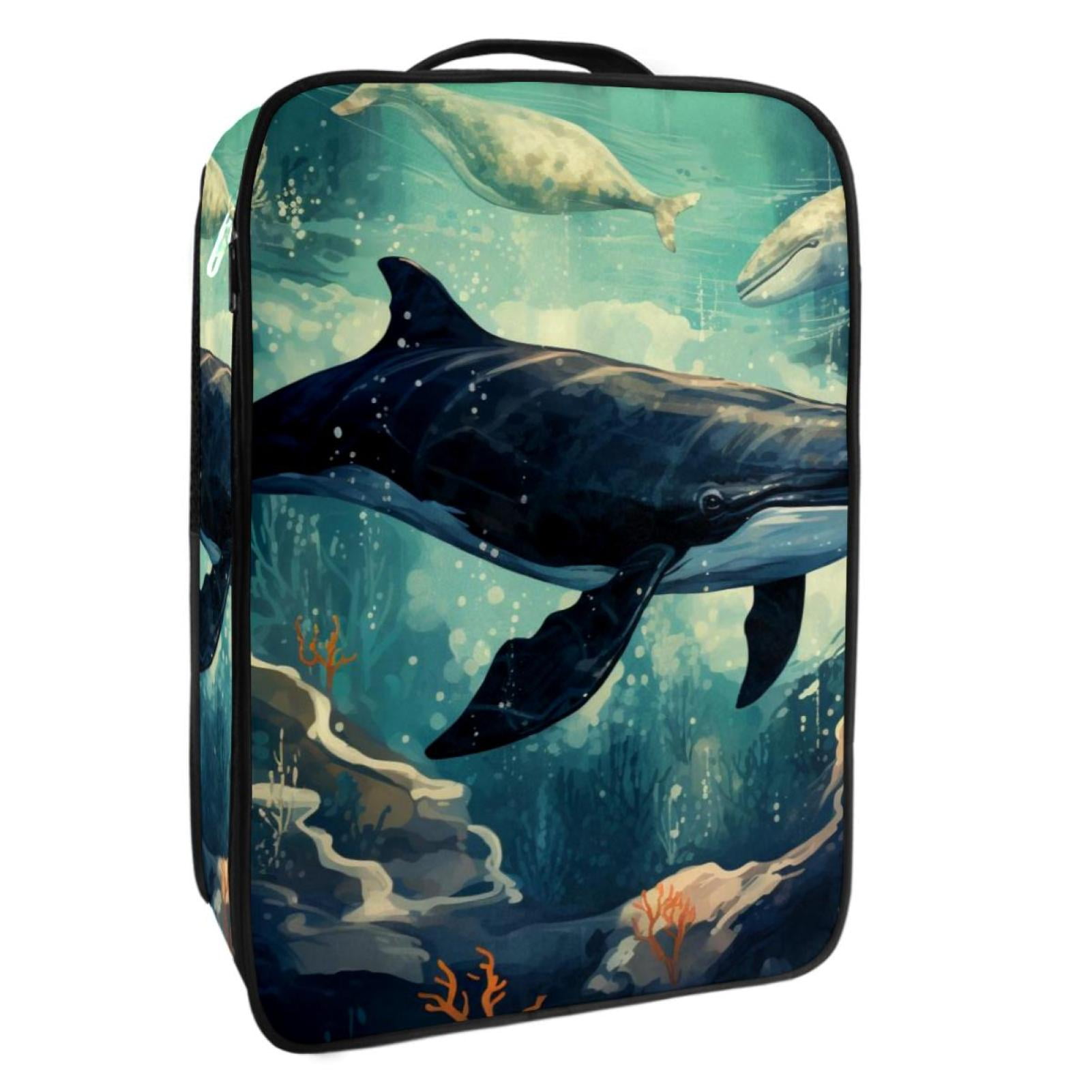 Whale Clear Polyester Shoe Containers - - 23x31cm/9x12in Shoe Storage ...