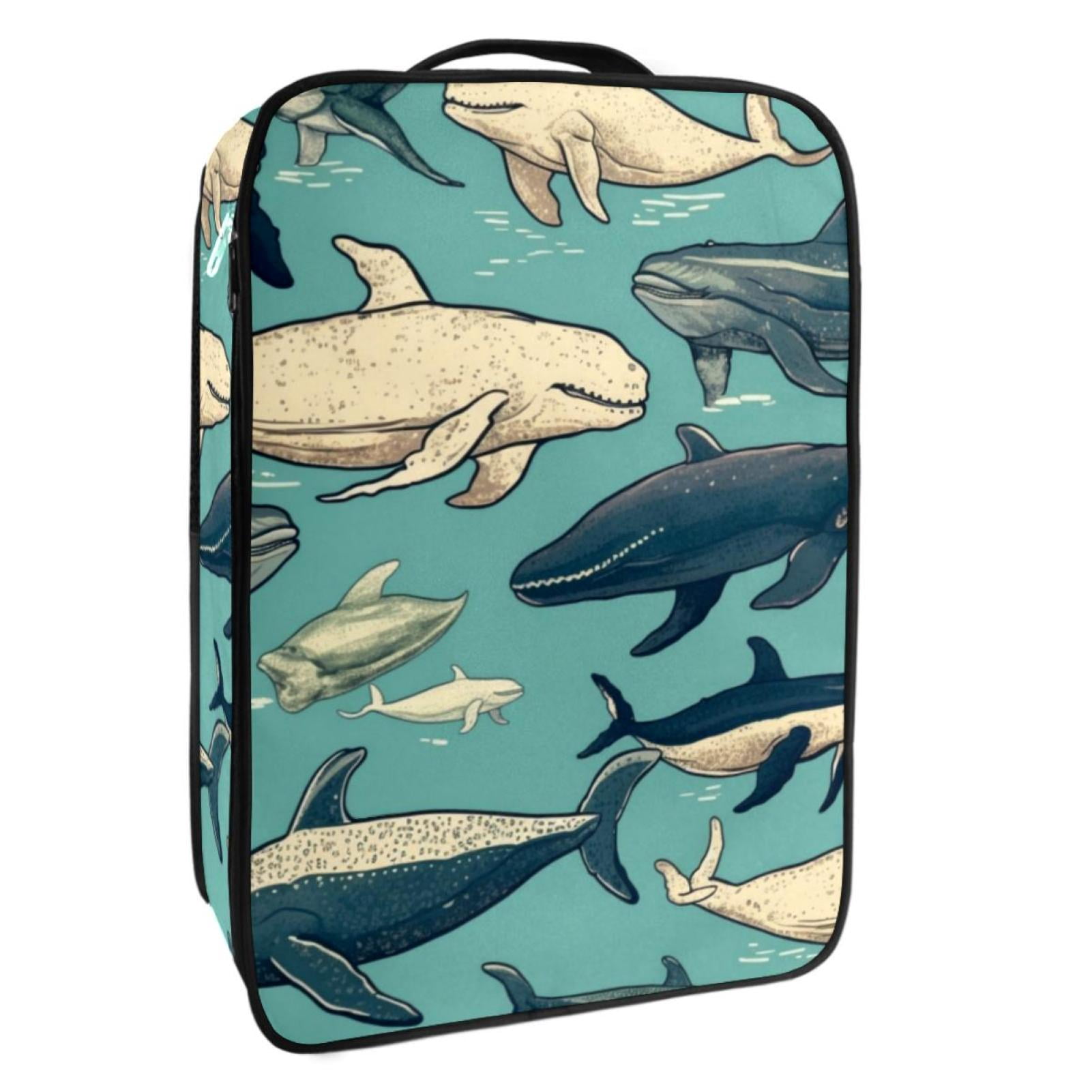 Whale Durable Polyester Shoe Box - 23x31cm/9x12in | Organize and Store ...
