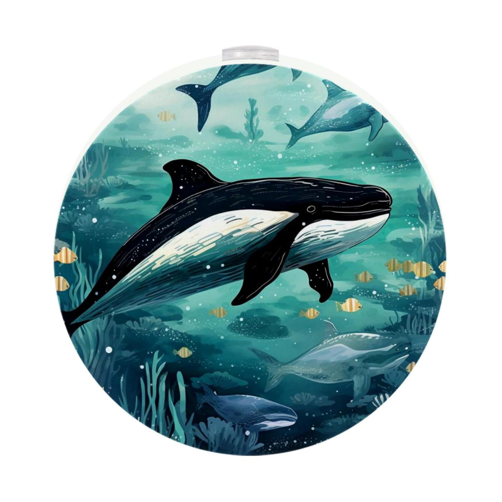Whale LED Round Night Light - 2 Pack, Plug-in Motion Sensor Wall Lamp ...
