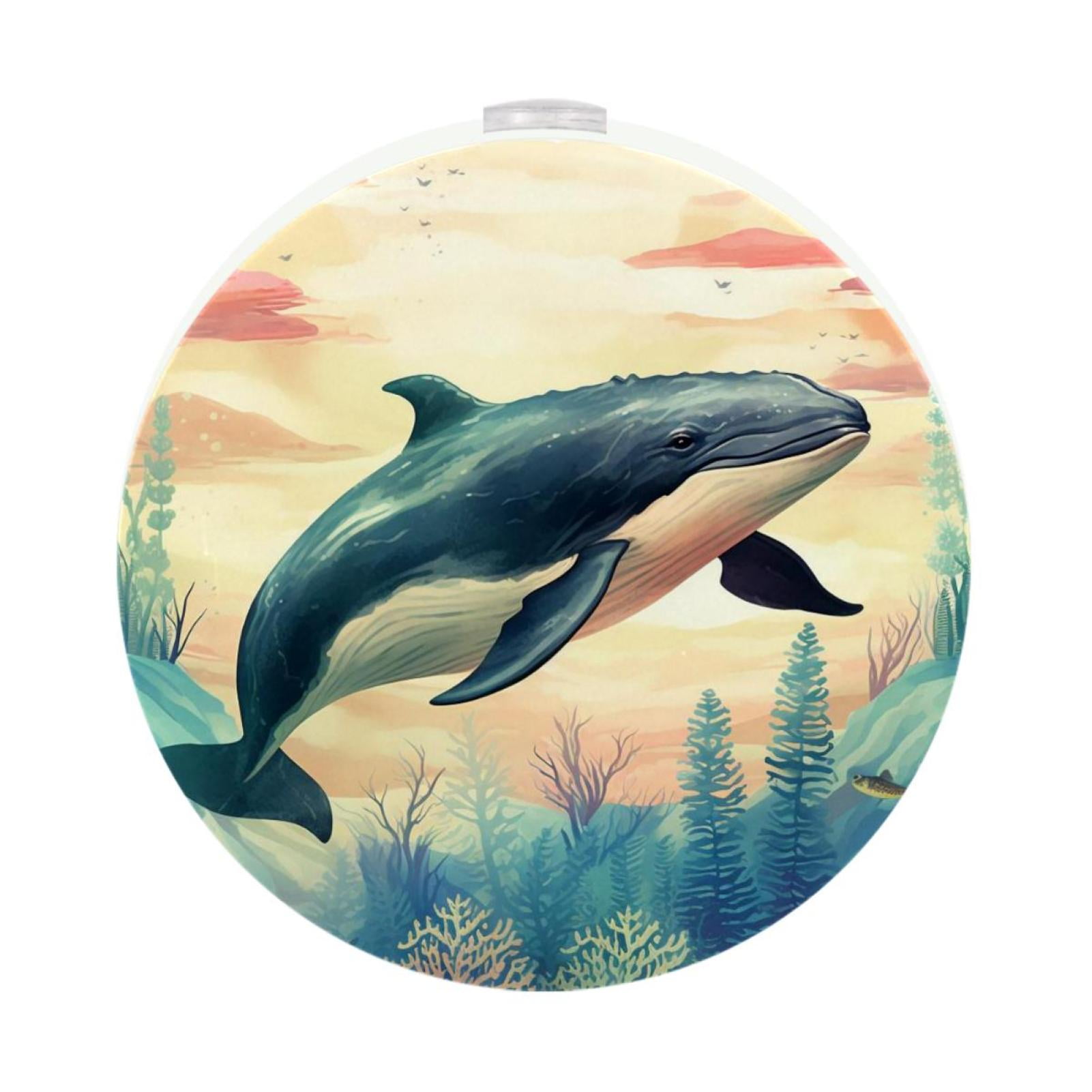 Whale LED Round Night Light-2PCS: Bright and Energy Efficient ...