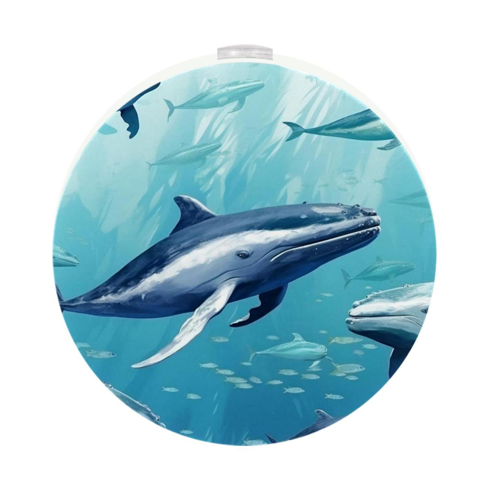 Whale LED Round Night Light - 2PCS, Dimmable Plug-in Nightlight with ...