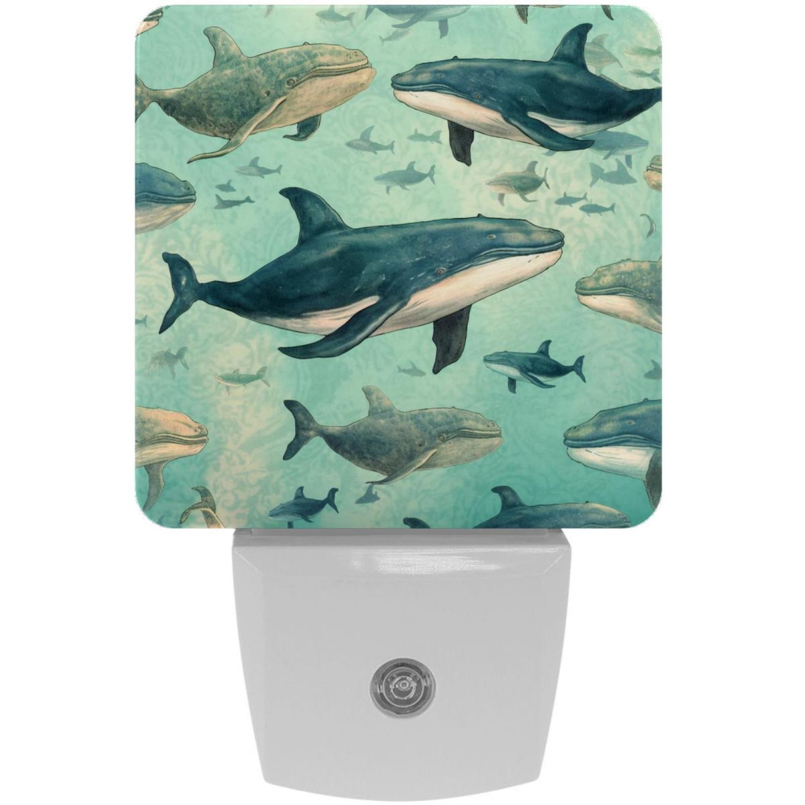 Whale LED Square Night Lights: Compact and Energy-Efficient ...