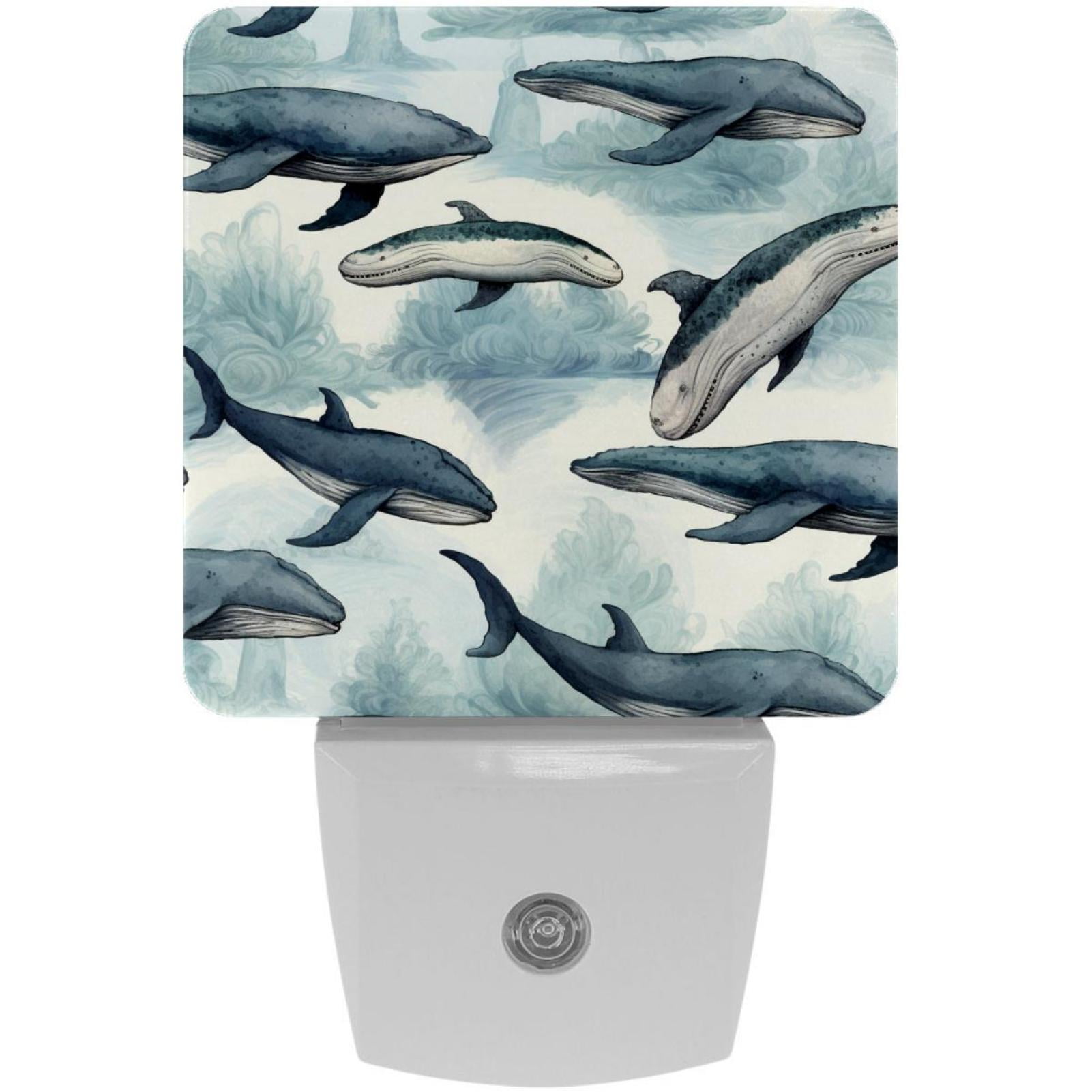 Whale LED Square Night Lights - Energy Efficient and Contemporary ...