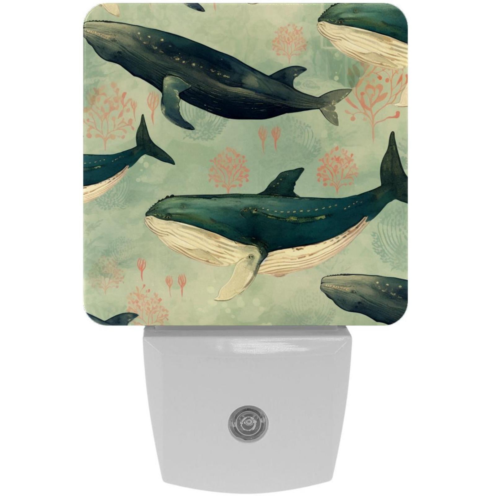 Whale LED Square Night Lights - Energy Efficient and Contemporary ...