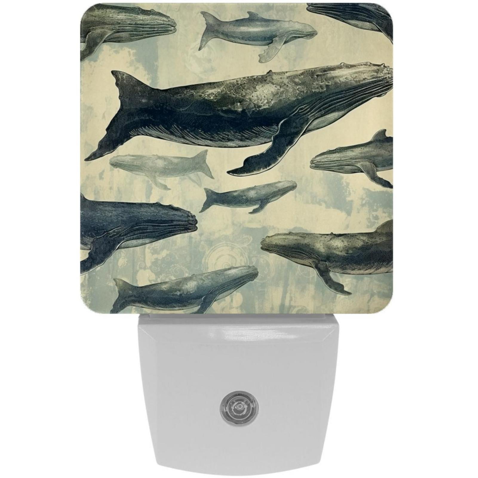Whale LED Square Night Lights - Energy Efficient & Elegant Decorative ...