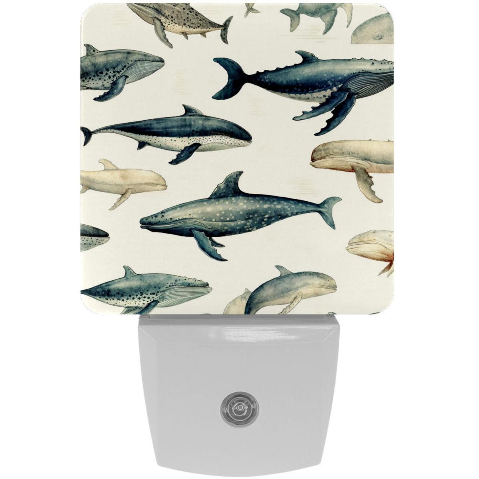 Whale LED Square Night Lights - Energy Efficient & Elegant Decorative ...