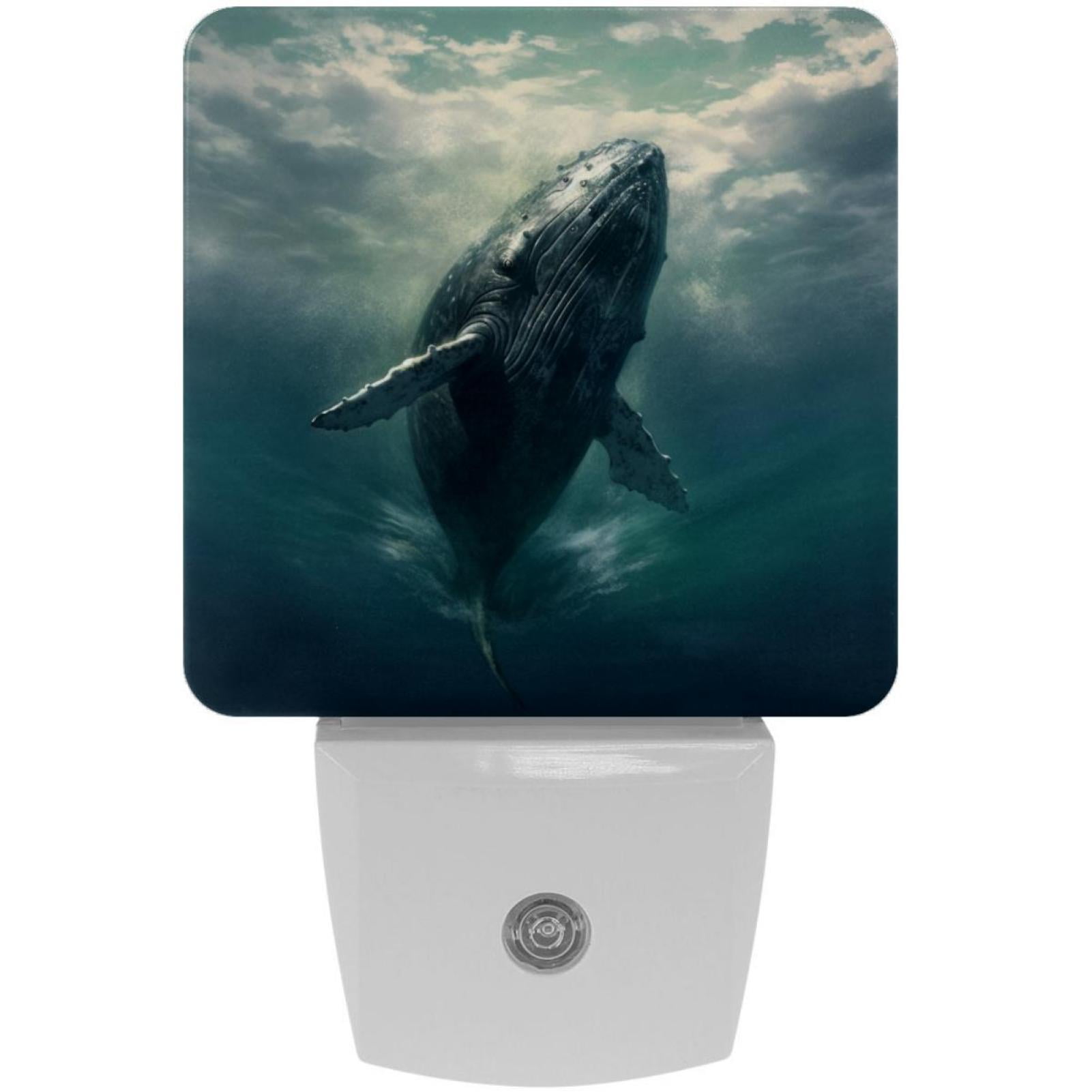 Whale LED Square Night Lights - Energy Efficient Plug-in Wall Lamp with ...