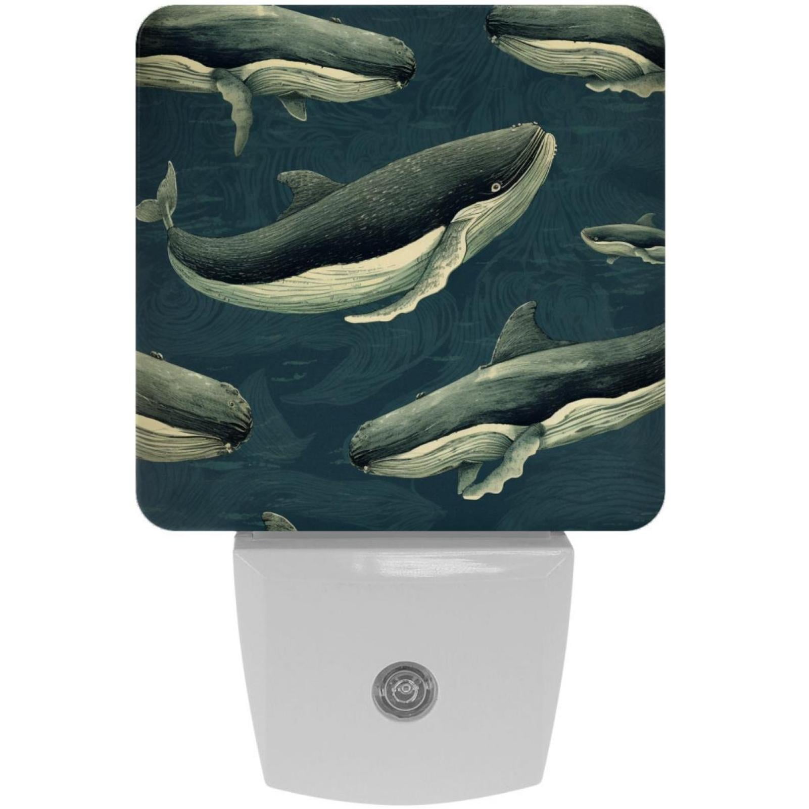Whale LED Square Night Lights- Energy Efficient and Stylish ...
